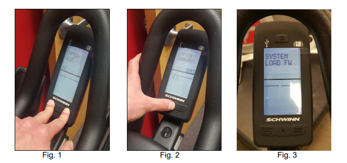How to check for instances of Echelon consoles with duplicate IDs